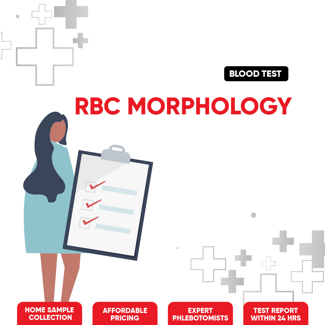 RBC Morphology Test – Find My Doctor